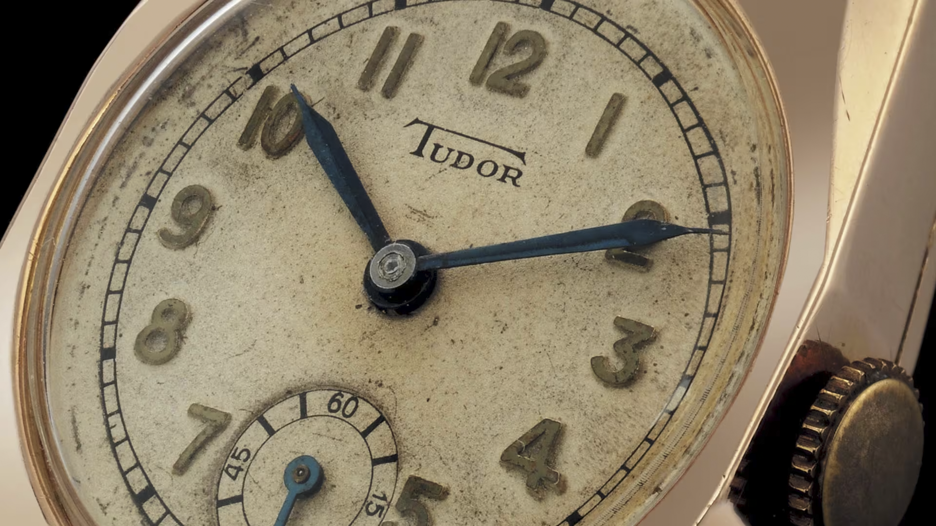 The History and Evolution of the Tudor Logo - Famous Company Logos